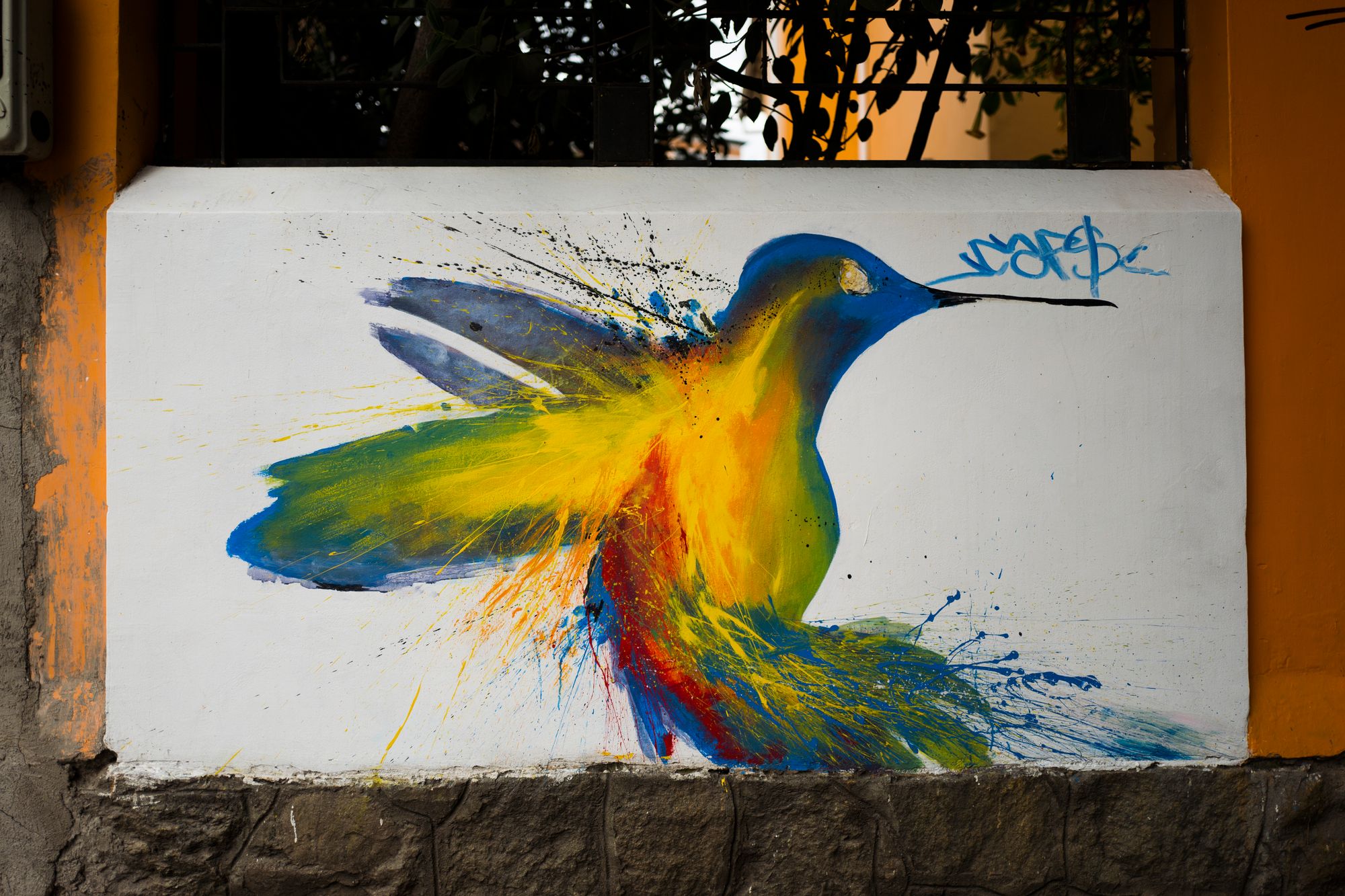 The Studio of Bill Couch